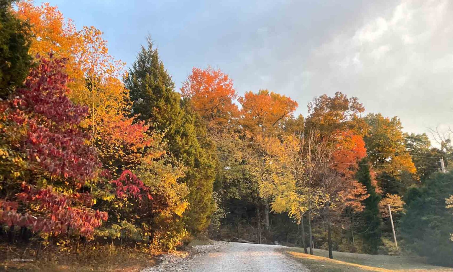 Fun Fall Activities For The Family - Mamas Front Porch Swing