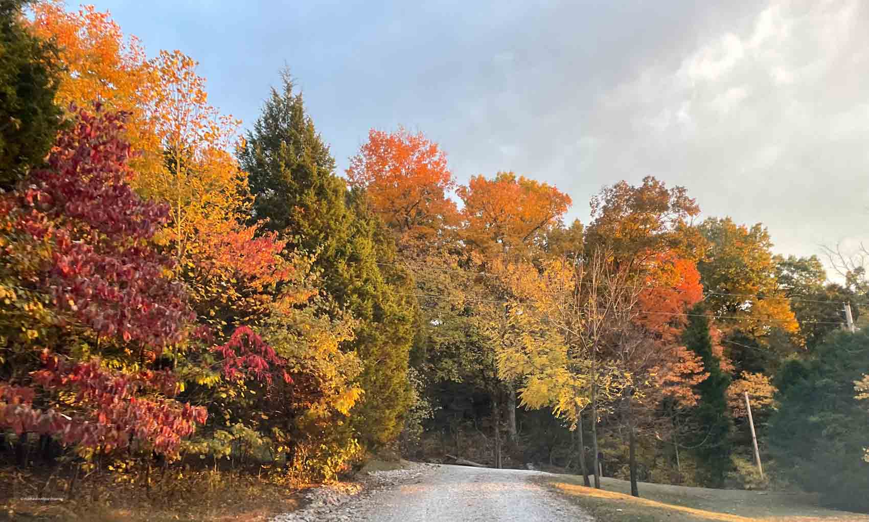 Fun Fall Activities For The Family - Mamas Front Porch Swing